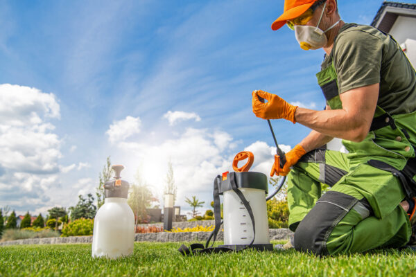 Top 5 Pest Control Contractors in Schererville, IN – Updated February ...